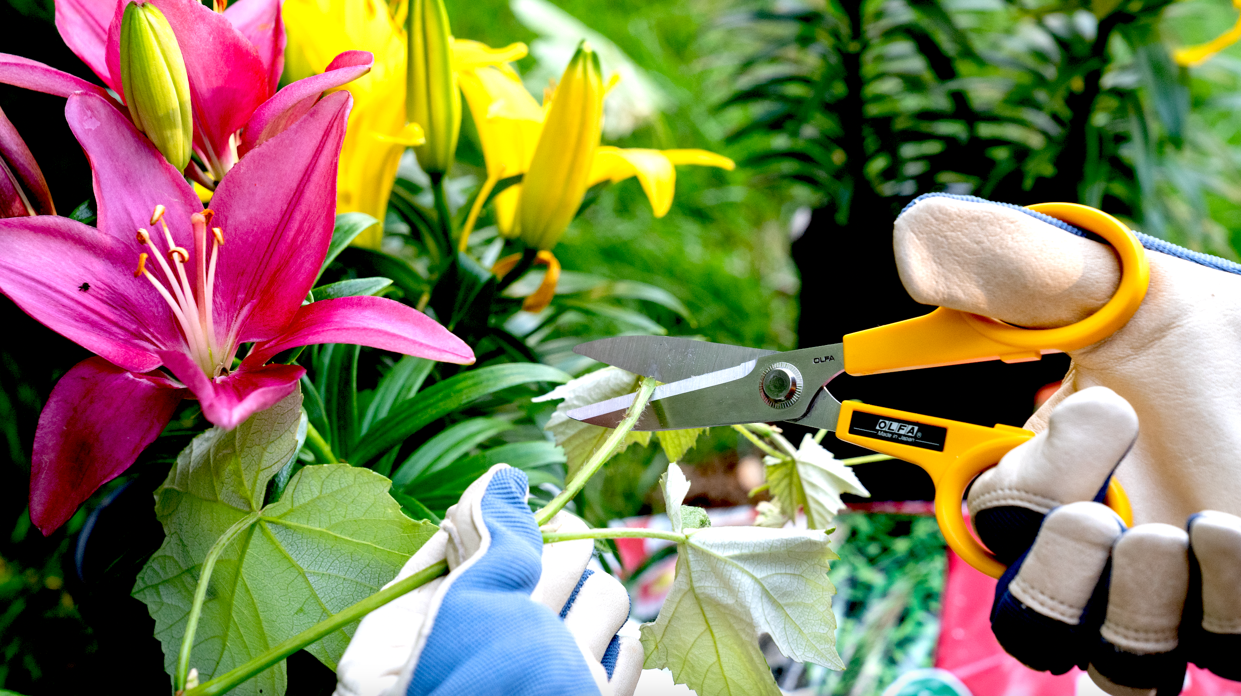 Get Ready for Spring with These DIY Outdoor Projects